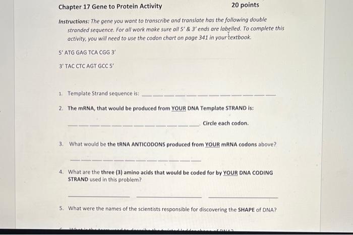 Solved Instructions: The gene you want to transcribe and | Chegg.com