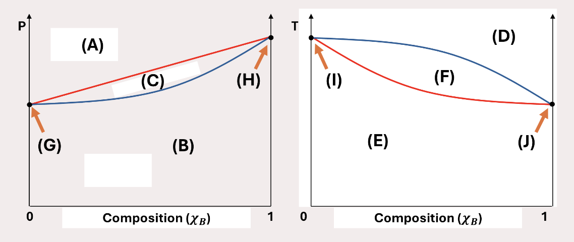 Solved Label the following two-component (A and B) ﻿phase | Chegg.com