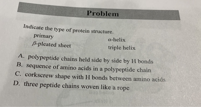 Solved Problem Indicate the type of protein structure. | Chegg.com