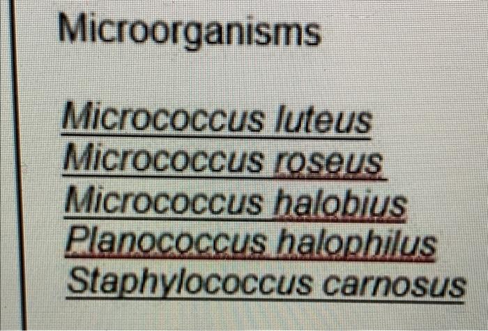Solved Microorganisms Micrococcus luteus Micrococcus roseus | Chegg.com