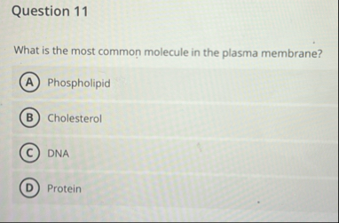Solved Question 11What is the most common molecule in the | Chegg.com