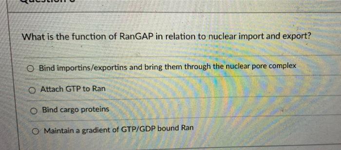 Solved What is the function of RanGAP in relation to nuclear | Chegg.com