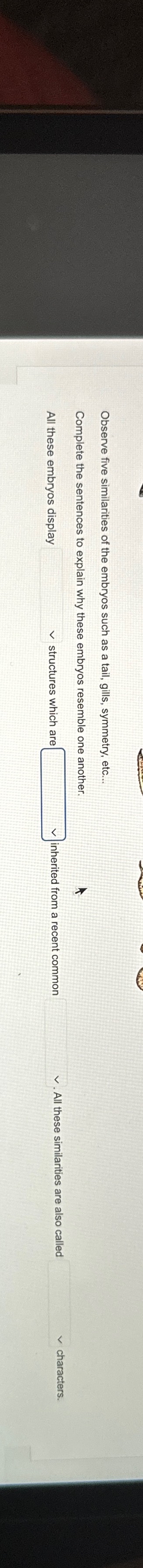 Solved Observe five similarities of the embryos such as a | Chegg.com