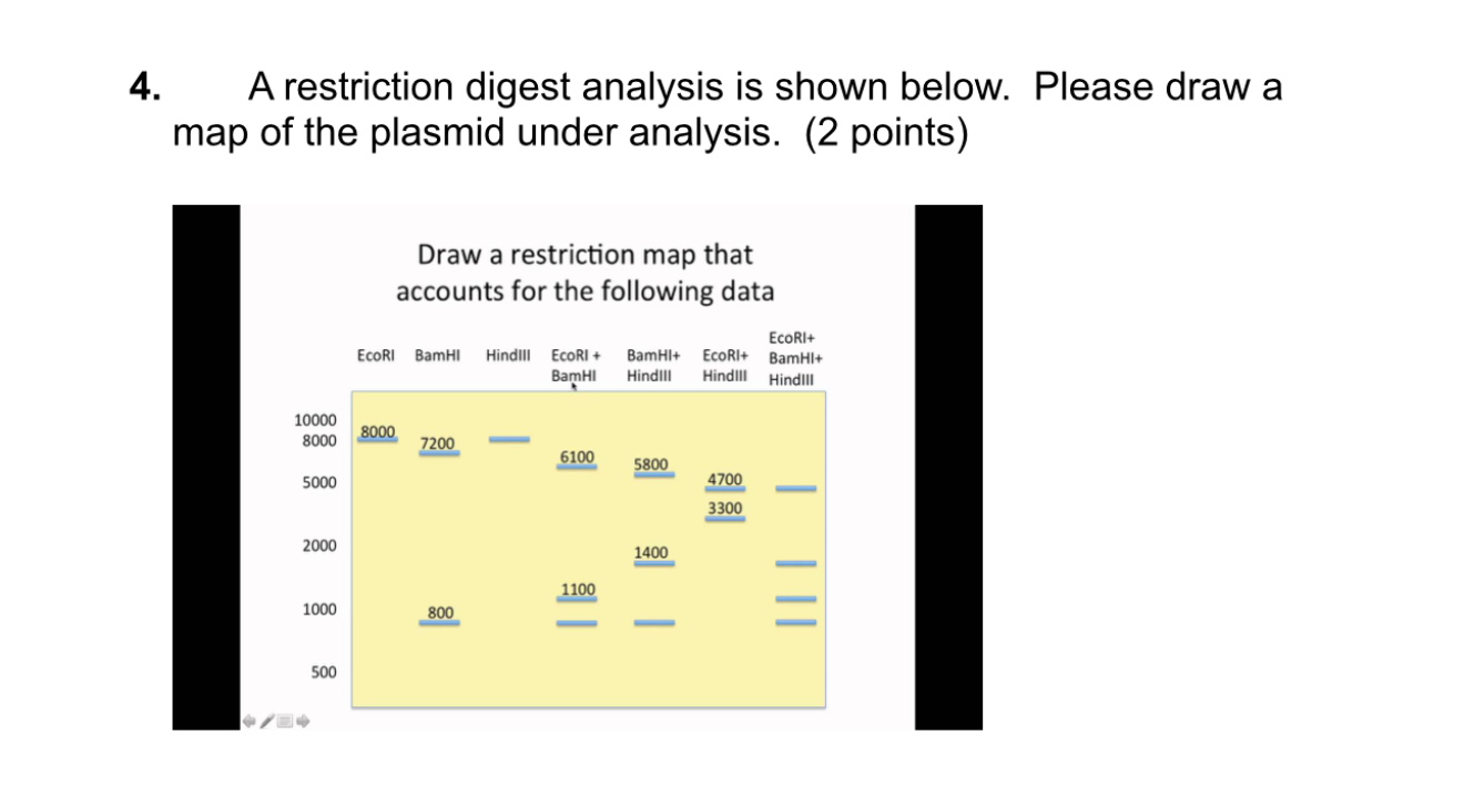 Solved by an EXPERT A restriction digest analysis is shown below. Please | Chegg.com