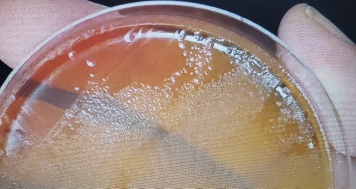 Solved . ४ . .. | Chegg.com