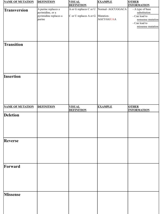 Solved NAME OF MUTATION DEFINITION Transversion A purine | Chegg.com