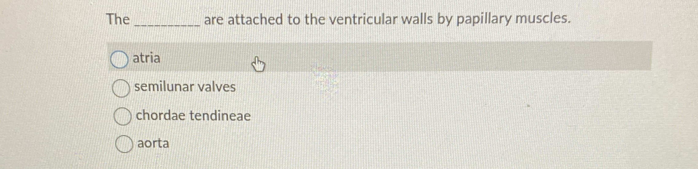 Solved The are attached to the ventricular walls by | Chegg.com