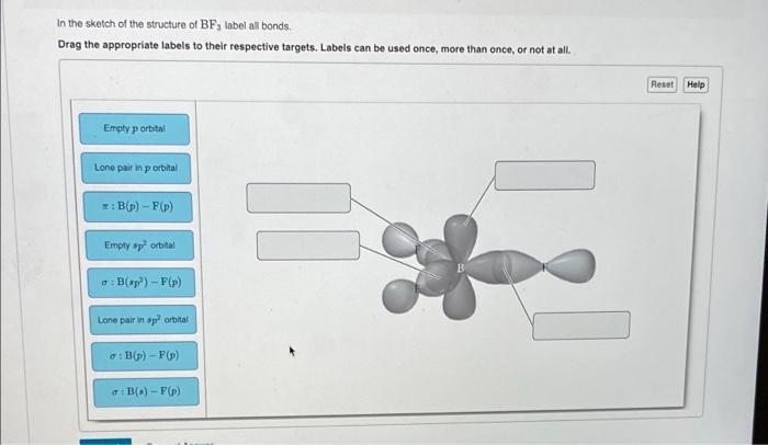 Solved In the sketch of the structure of BF, label all | Chegg.com