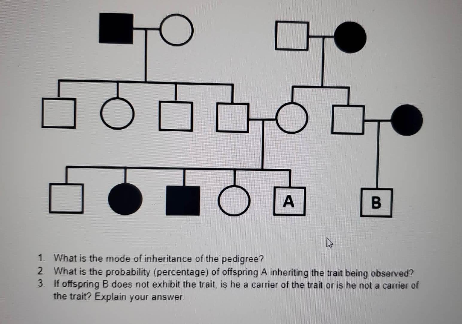 please answer ASAP | Chegg.com