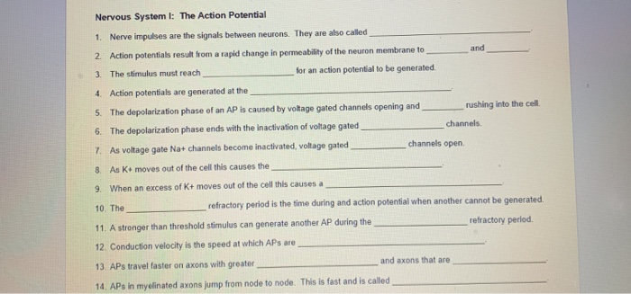 Solved Nervous System I: The Action Potential Nerve impulses | Chegg.com