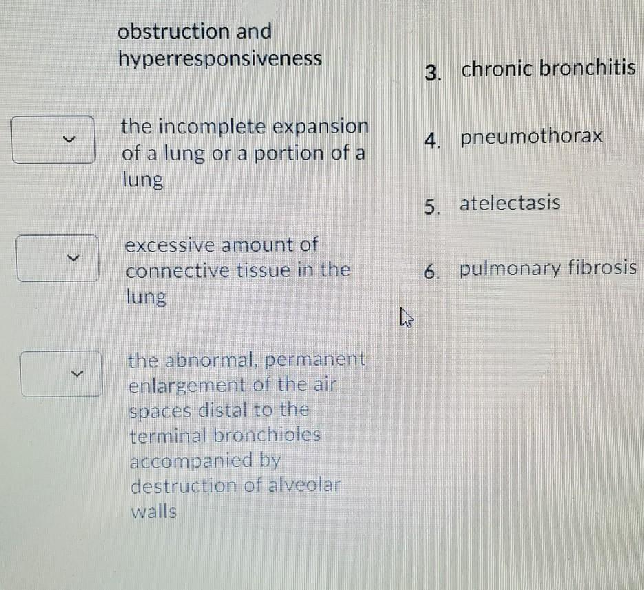 Solved Match each respiratory disease with the appropriate | Chegg.com