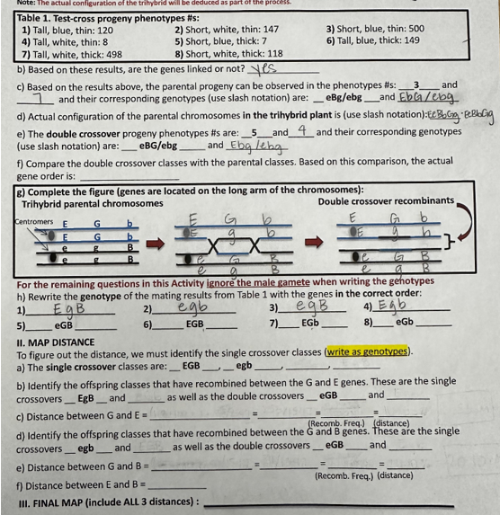 Solved Can someone help me with the bottom portion of this | Chegg.com