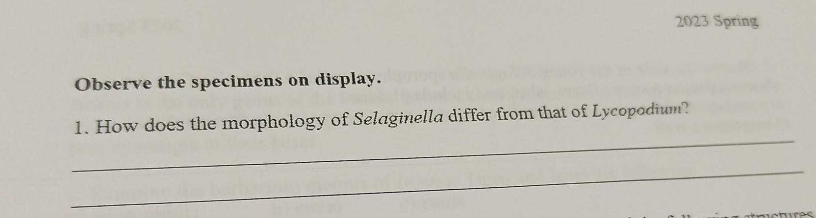 Solved 2023 ﻿SpringObserve the specimens on display.How does | Chegg.com
