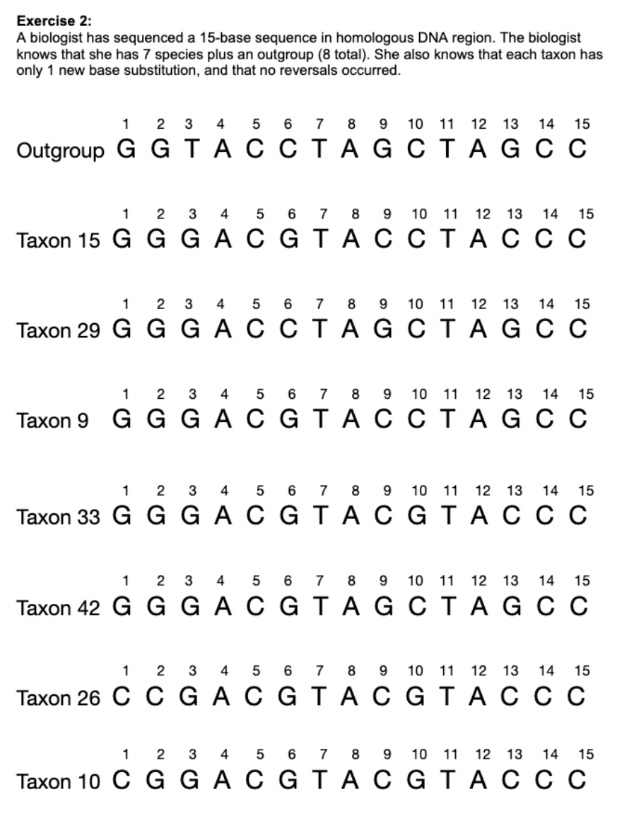 Solved Exercise 2:A biologist has sequenced a 15-base | Chegg.com