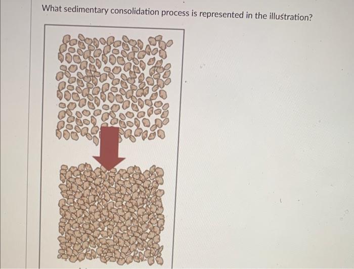 Solved What sedimentary consolidation process is represented | Chegg.com