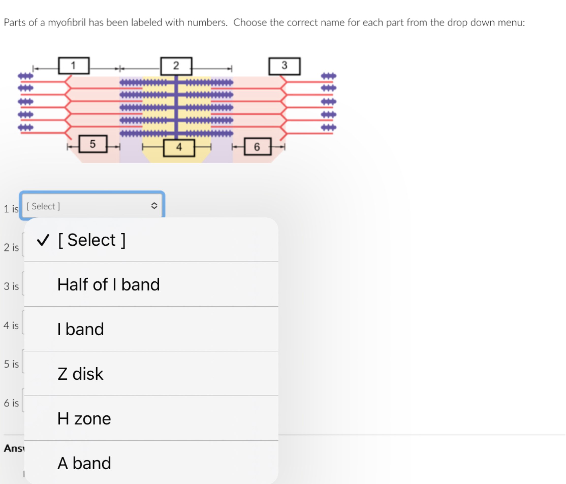 Solved Choose the correct name for each part from the drop | Chegg.com