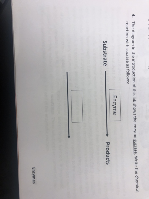 Solved 4. The diagram in the introduction of this lab shows | Chegg.com