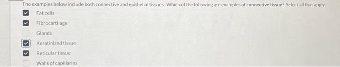 Solved The examples below include both connective and | Chegg.com