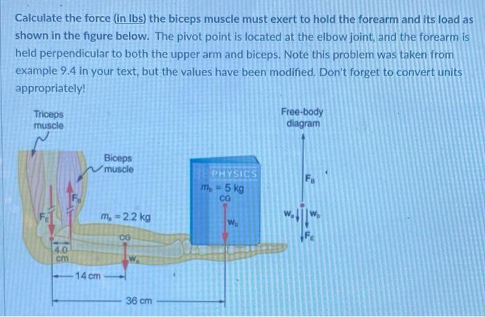 Solved Calculate the force (in lbs) the biceps muscle must | Chegg.com