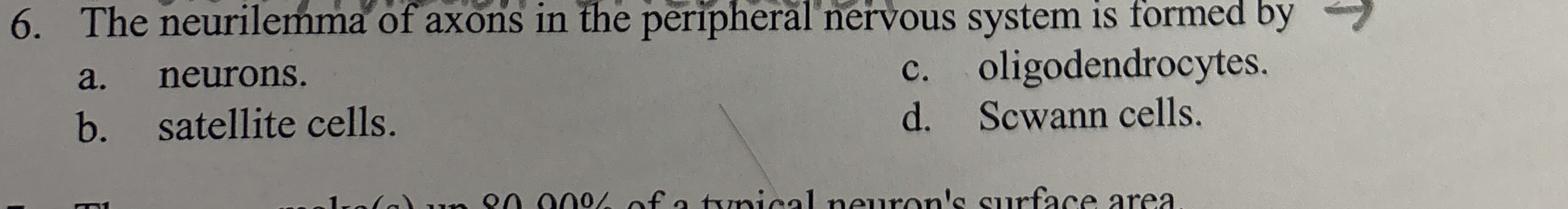 Solved The neurilemma of axons in the peripheral nervous | Chegg.com