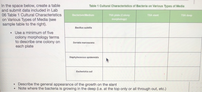 Solved Table 1 Cultural Characteristics Of Bacteria On