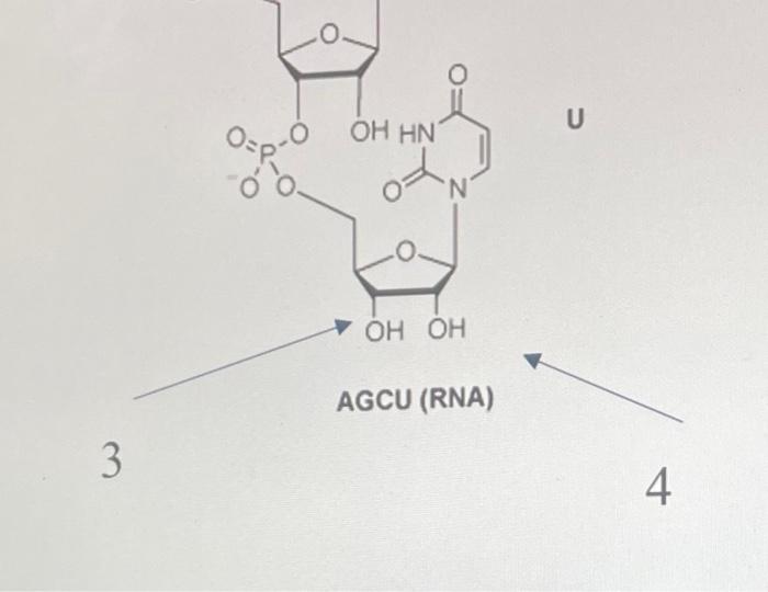 Solved a) b) chose the correct one of the | Chegg.com