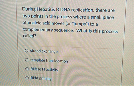 Solved During Hepatitis B DNA replication, there are two | Chegg.com