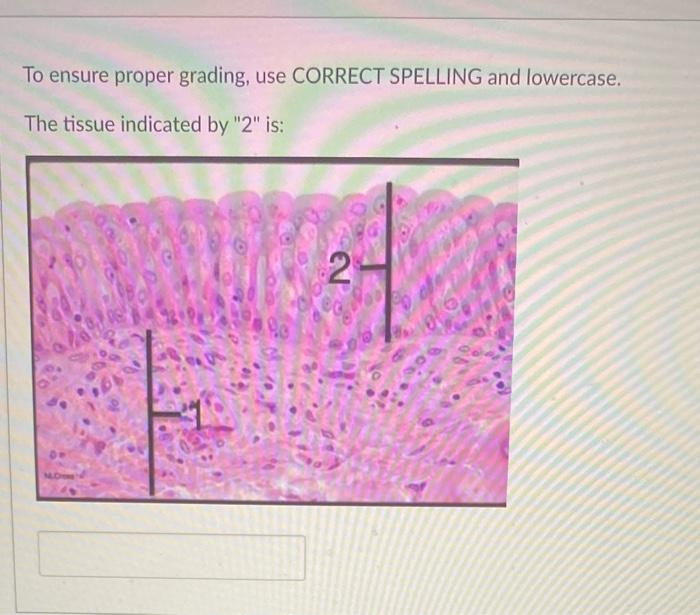 Solved To ensure proper grading, use CORRECT SPELLING and | Chegg.com