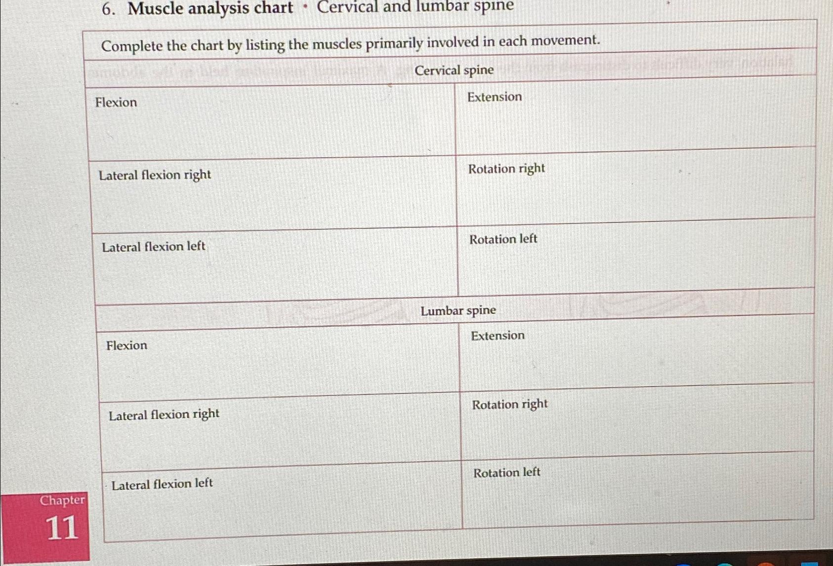 Solved Muscle analysis chartCervical and lumbar | Chegg.com