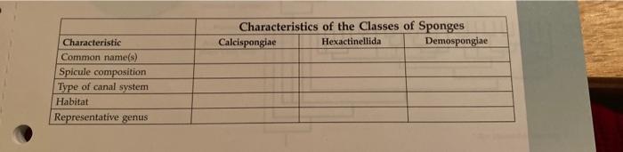 Solved Characteristics of the Classes of Sponges | Chegg.com