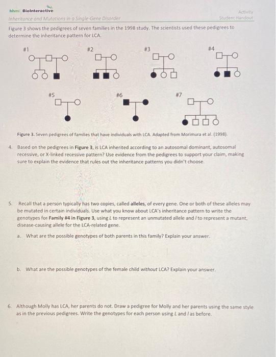 Solved hhmi Biolnteractive Inheritance and Mutations in a | Chegg.com