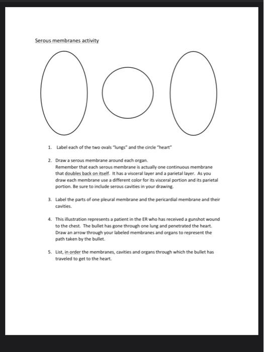 Solved Serous membranes activity 000 1. Label each of the | Chegg.com