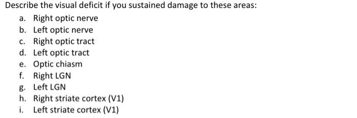 Solved Describe the visual deficit if you sustained damage | Chegg.com