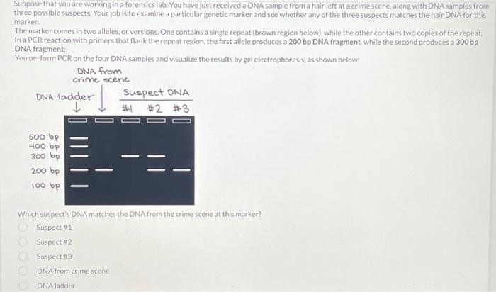 Solved Suppose that you are working in a forensics lab. You | Chegg.com