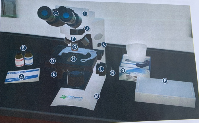Solved Optical Microscope PartsIdentify all parts of the | Chegg.com