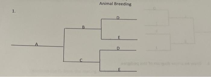 Solved Draw an arrow diagram of the mating of individual A | Chegg.com