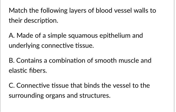 Solved A. Made of a simple squamous epithelium and | Chegg.com