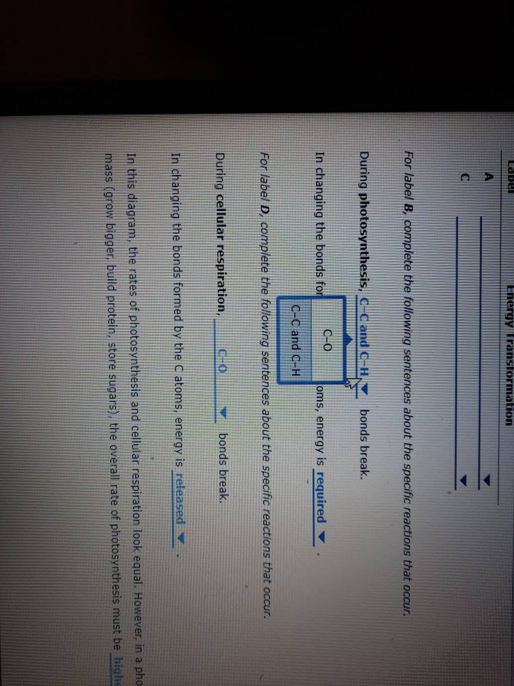 Solved 6. Converting energy in photosynthesis and cellular | Chegg.com