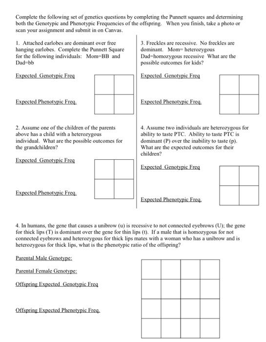 Solved Complete the following set of genetics questions by | Chegg.com