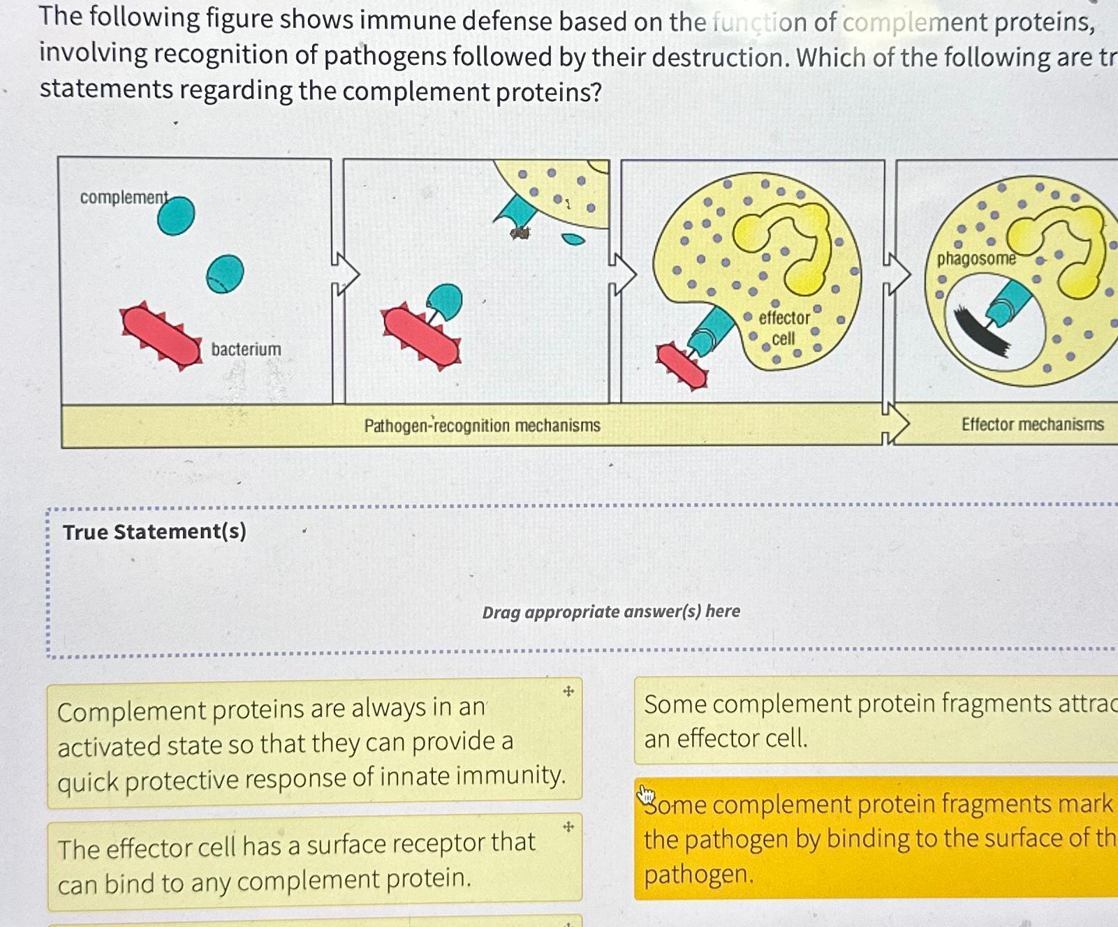 Solved The following figure shows immune defense based on | Chegg.com