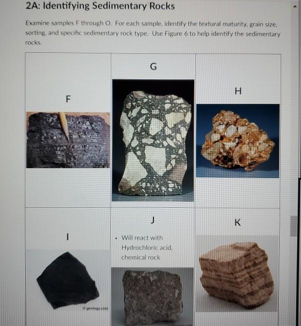 Solved PART 2: INTERPRETING SEDIMENTARY ROCKS AND STRUCTURES | Chegg.com