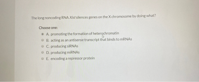 Solved The Long Noncoding Rna Xist Silences Genes On The X