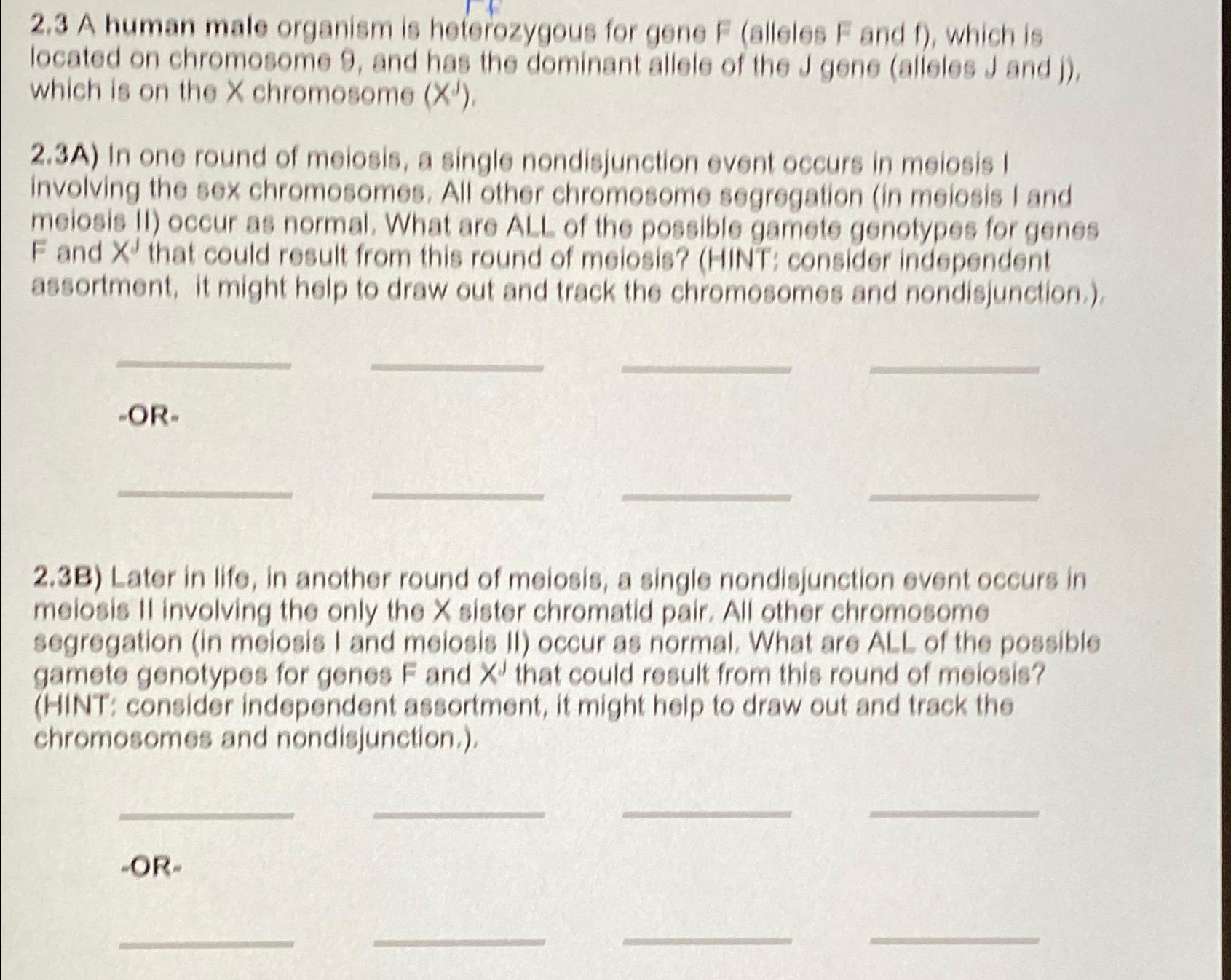 Solved 2.3 ﻿A human male organism is heterozygous for gene | Chegg.com