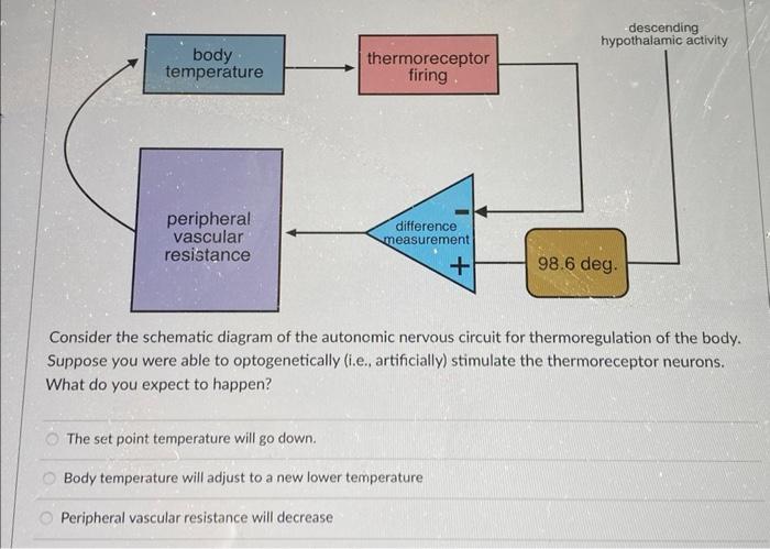 Solved Consider the schematic diagram of the autonomic | Chegg.com