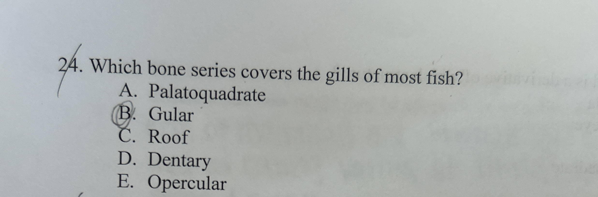 Solved Which bone series covers the gills of most fish?A. | Chegg.com