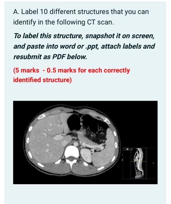 Solved A. Label 10 different structures that you can | Chegg.com