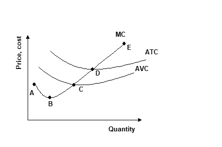 Solved 30. ﻿Refer to the graph above. A perfectly | Chegg.com