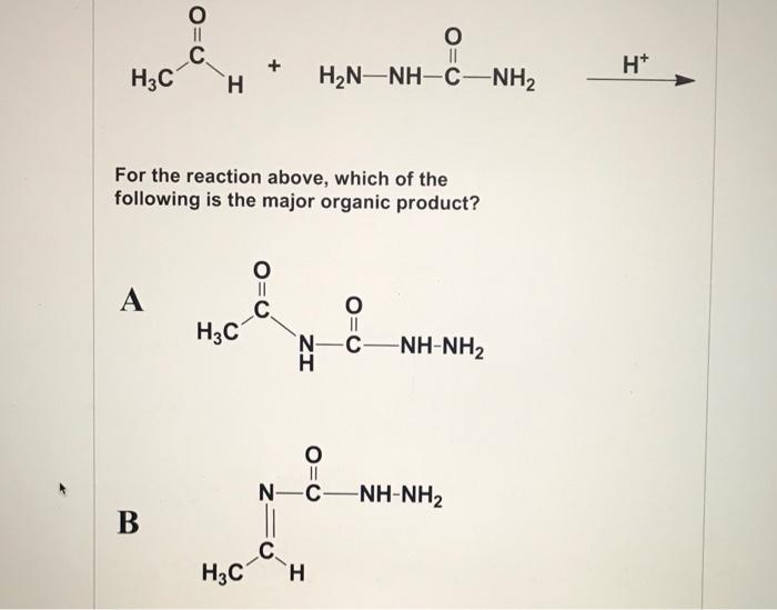 Solved II С. II H H3C H H2N-NH-C-NH2 For the reaction above, | Chegg.com