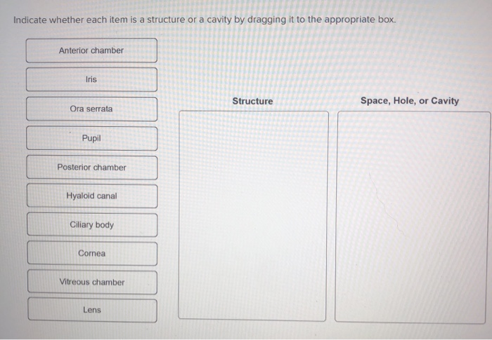 Solved Indicate whether each item is a structure or a cavity | Chegg.com