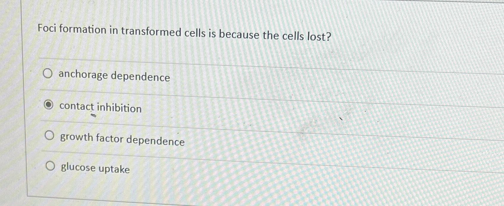 Solved Foci formation in transformed cells is because the | Chegg.com
